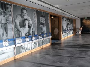 About - Yogi Berra Museum & Learning Center